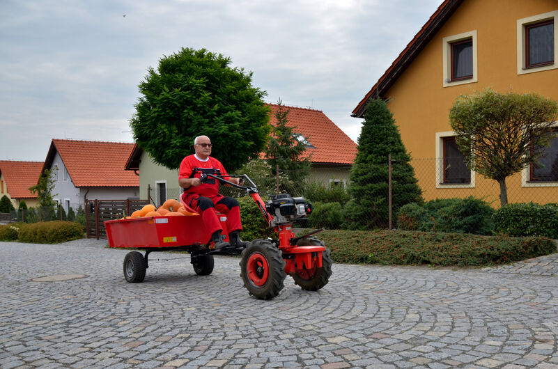 Minitraktor VARI IV GLOBAL, motoplokk DSK-317 + järelkäru ANV-380 ...